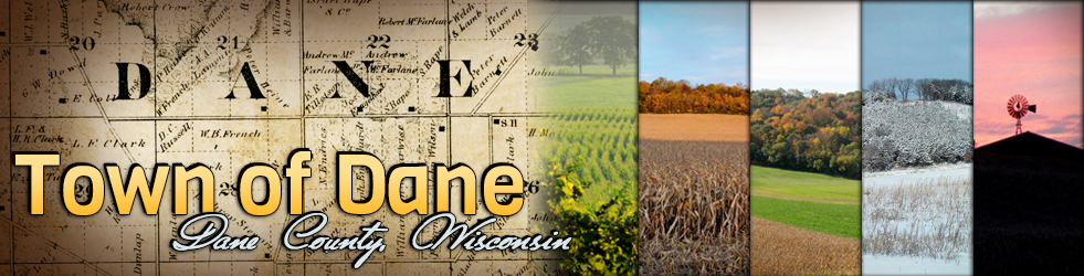 More Old Town Plat Maps | Town of Dane, Dane County, Wisconsin